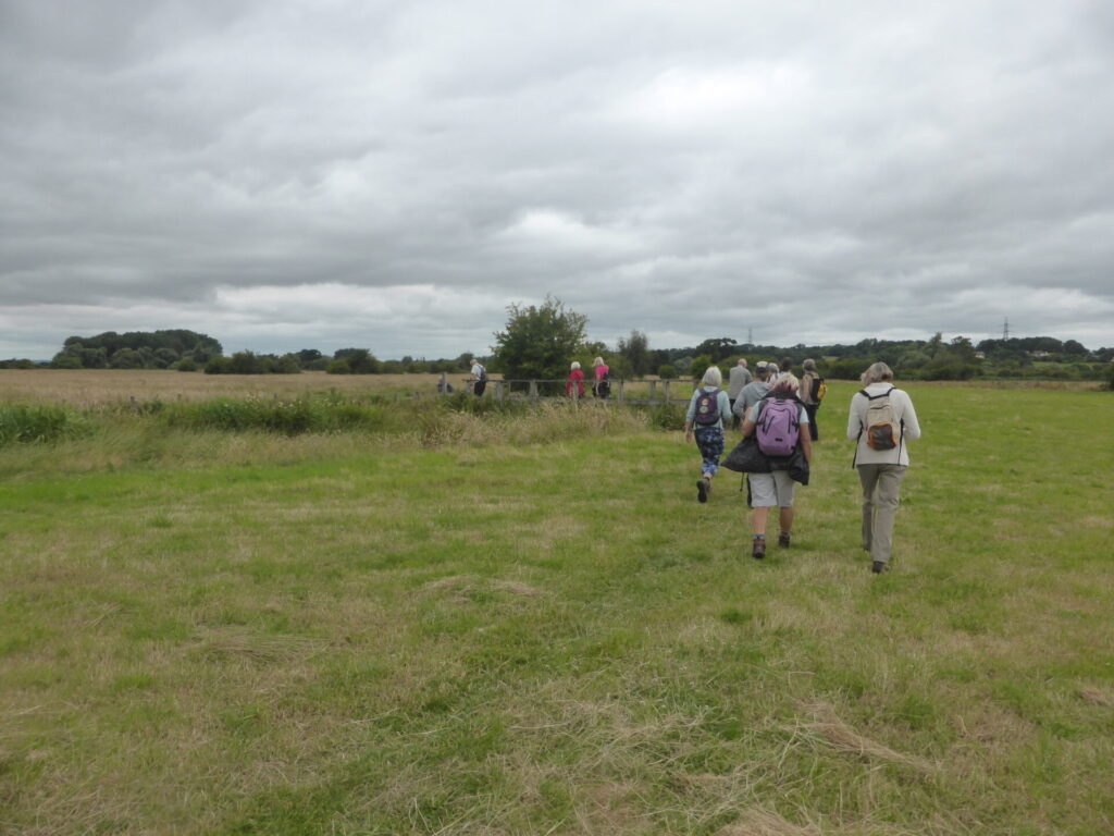 Walking - Fordingbridge & District